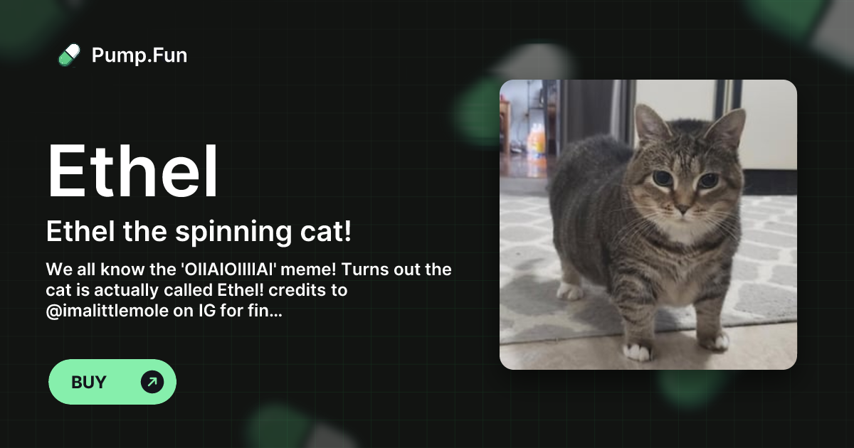 Ethel the spinning cat! (Ethel) - Pump