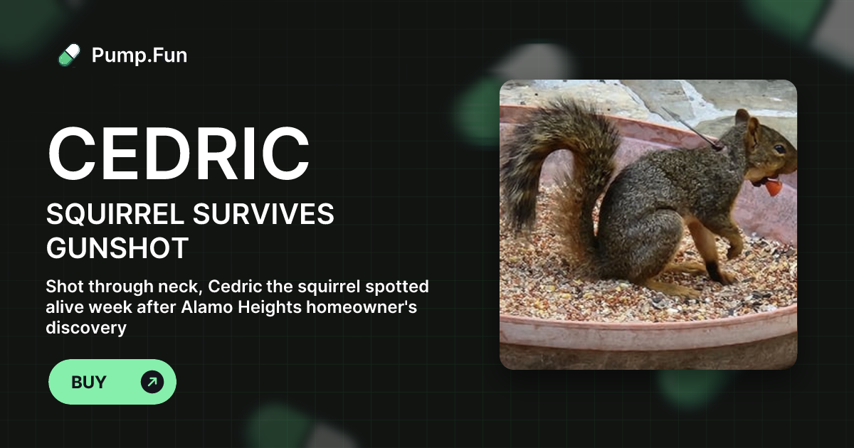 SQUIRREL SURVIVES GUNSHOT (CEDRIC) - Pump