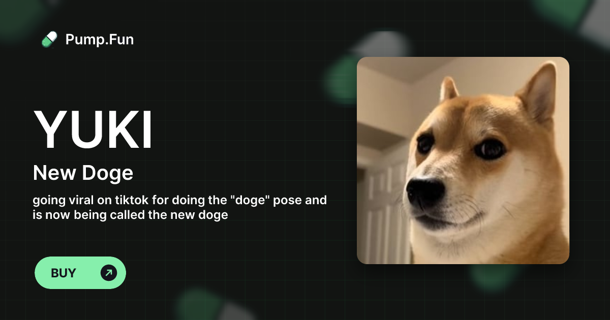 New Doge (YUKI) - Pump