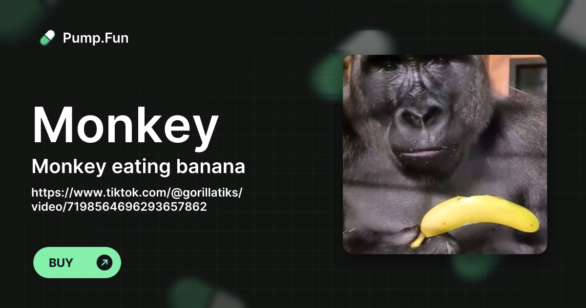 Monkey eating banana (Monkey) - Pump