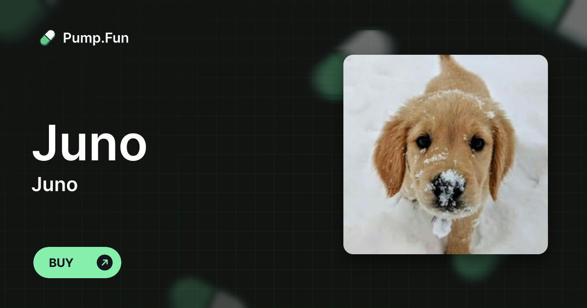 Juno (Juno) - Pump
