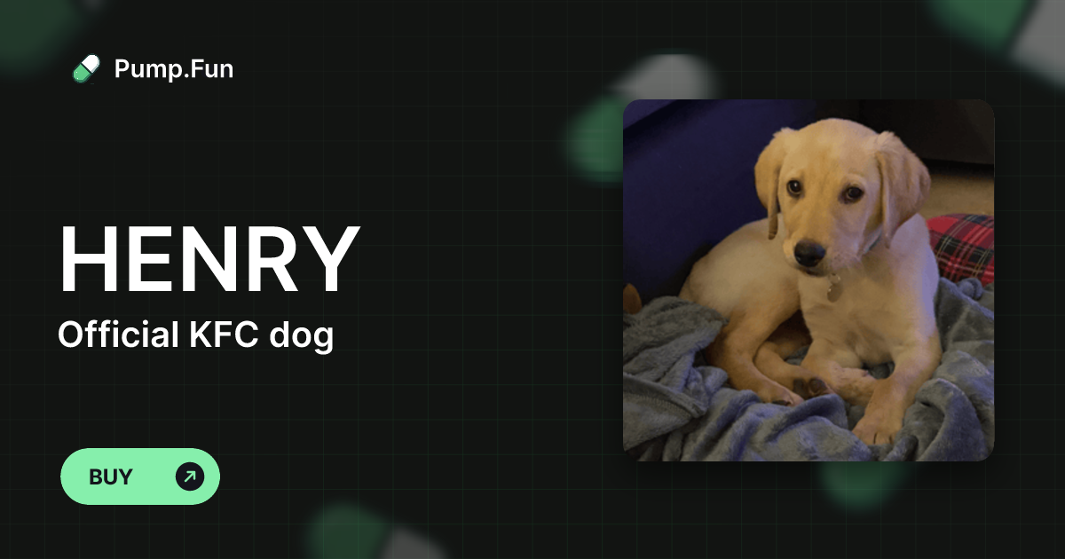 Official KFC dog (HENRY) - Pump