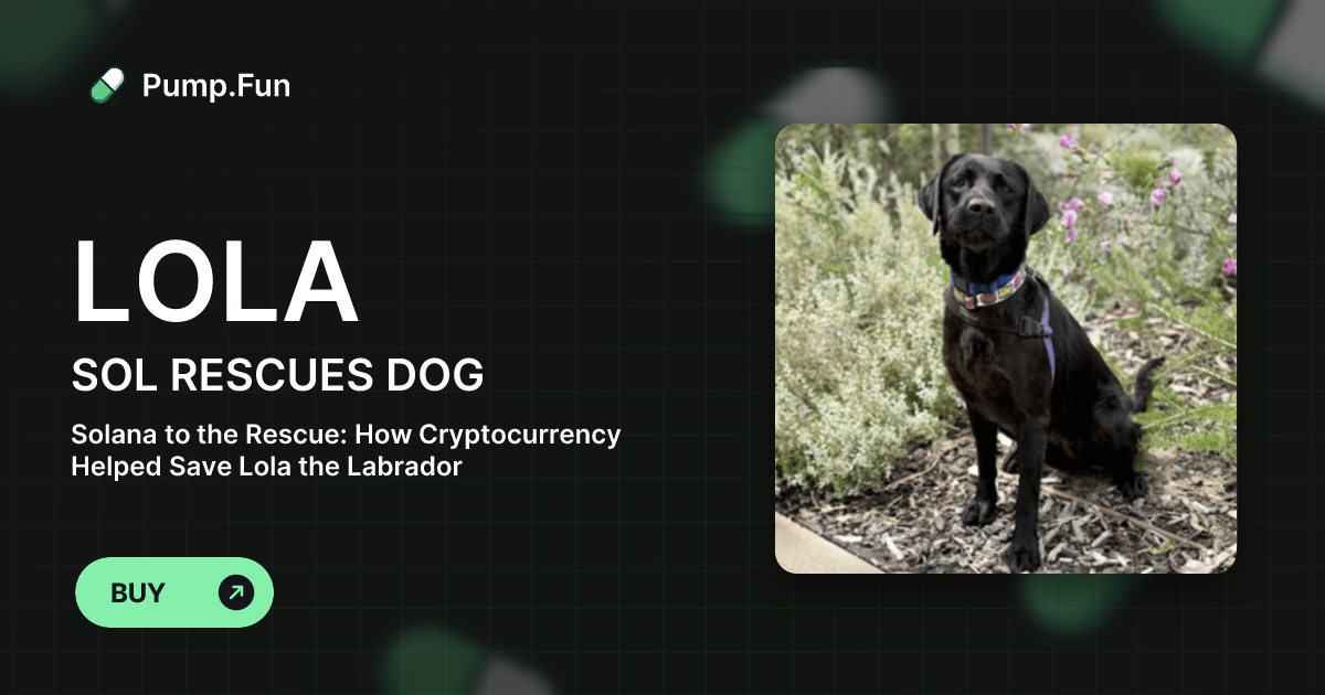 SOL RESCUES DOG (LOLA) - Pump