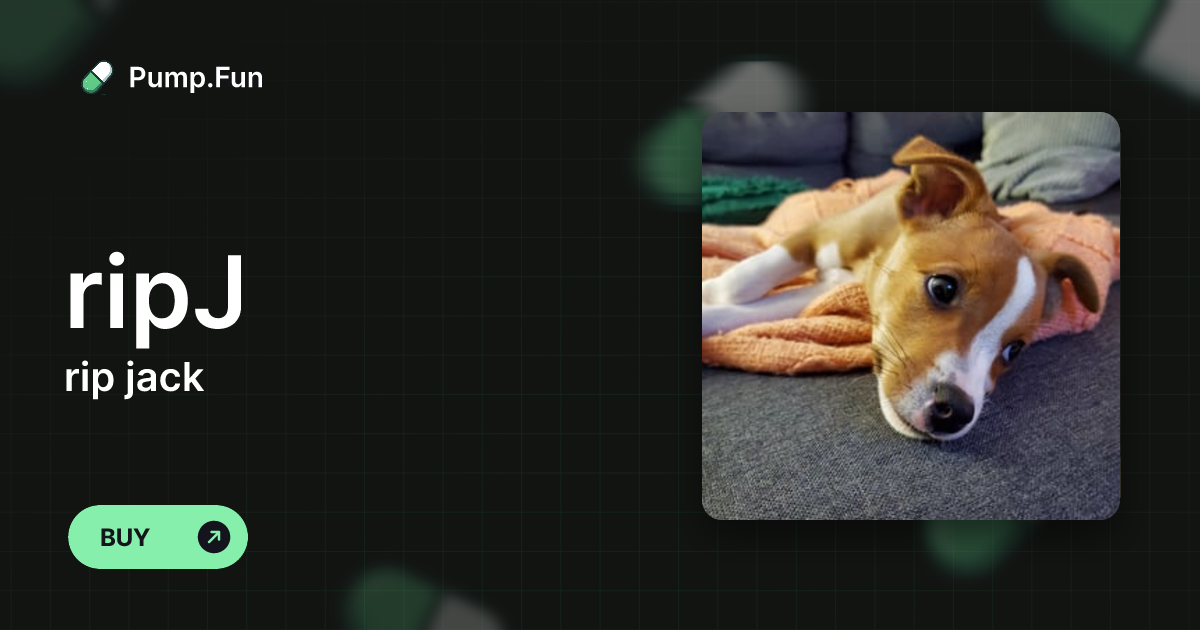 rip jack (ripJ) - Pump