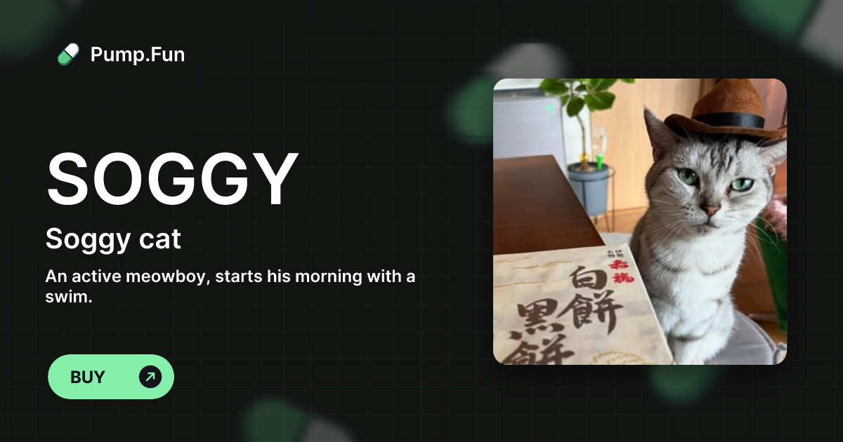 Soggy cat (SOGGY) - Pump