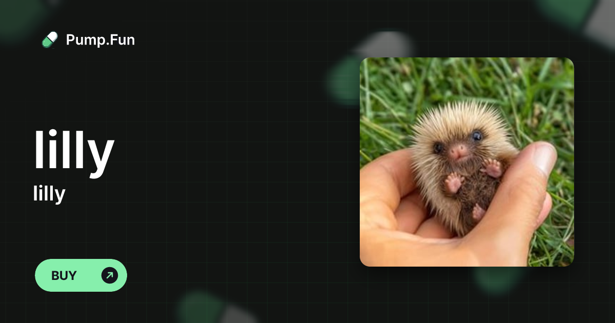 lilly (lilly ) - Pump