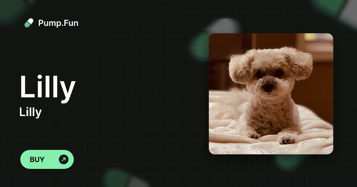 Lilly (Lilly) - Pump