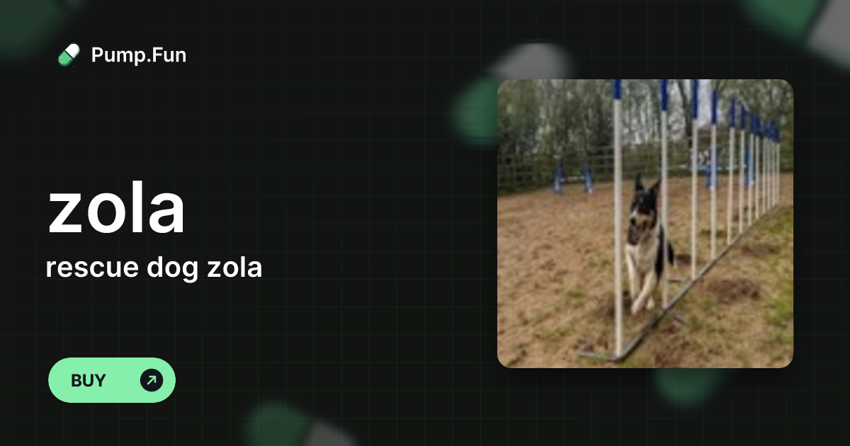 rescue dog zola (zola) - Pump