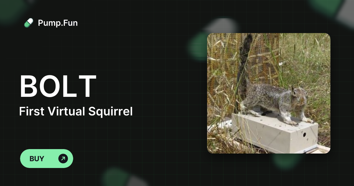 First Virtual Squirrel (BOLT) - Pump