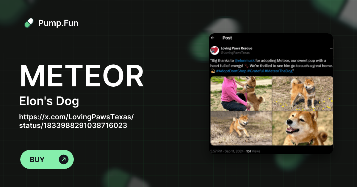 Elon's Dog (METEOR) - Pump