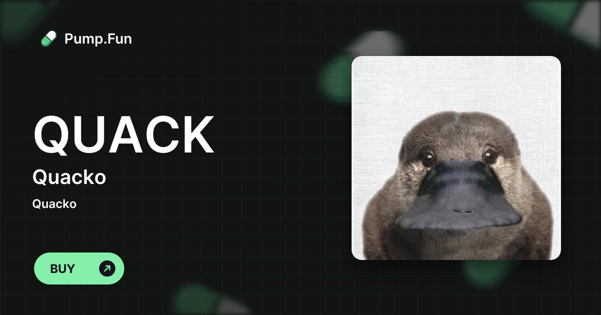 Quacko (QUACK) - Pump