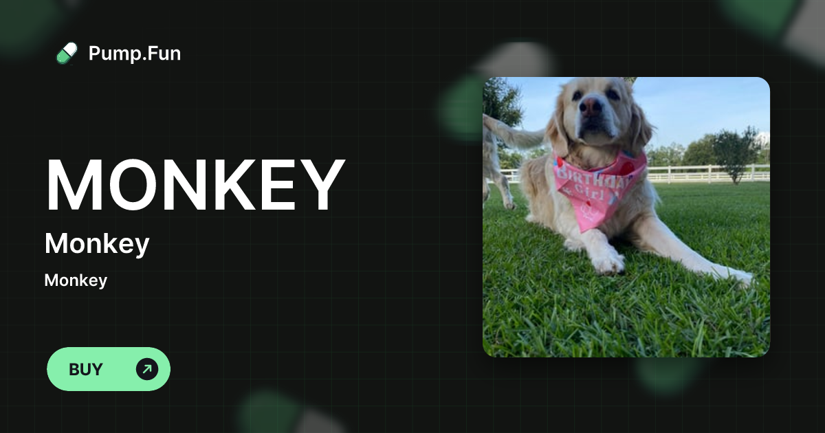 Monkey (MONKEY) - Pump