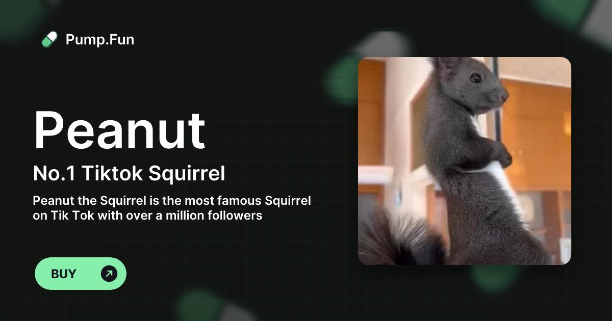 No.1 Tiktok Squirrel (Peanut) - Pump
