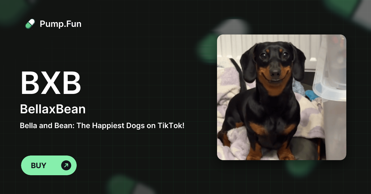 BellaxBean (BXB) - Pump