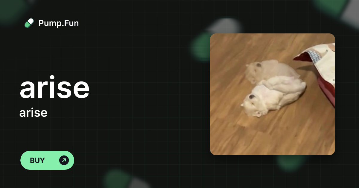 arise (arise) - Pump