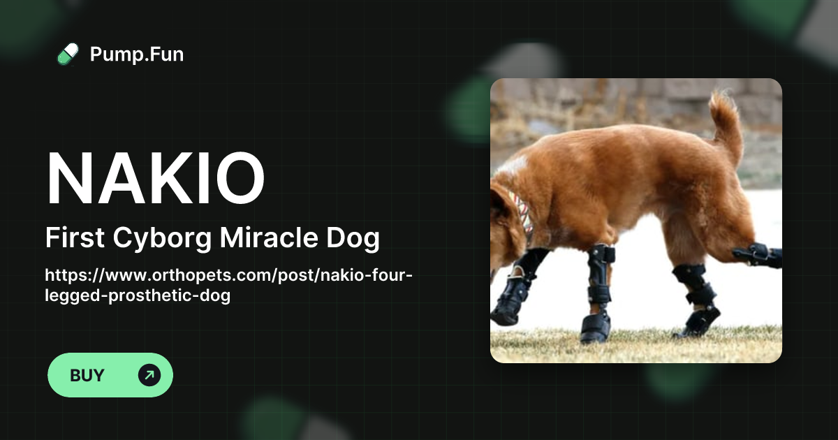 First Cyborg Miracle Dog (NAKIO) - Pump
