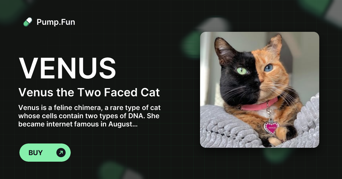 Venus the Two Faced Cat (VENUS) - Pump