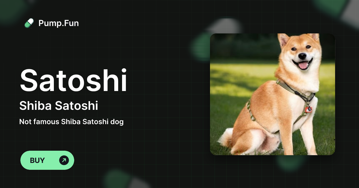 Shiba Satoshi (Satoshi) - Pump