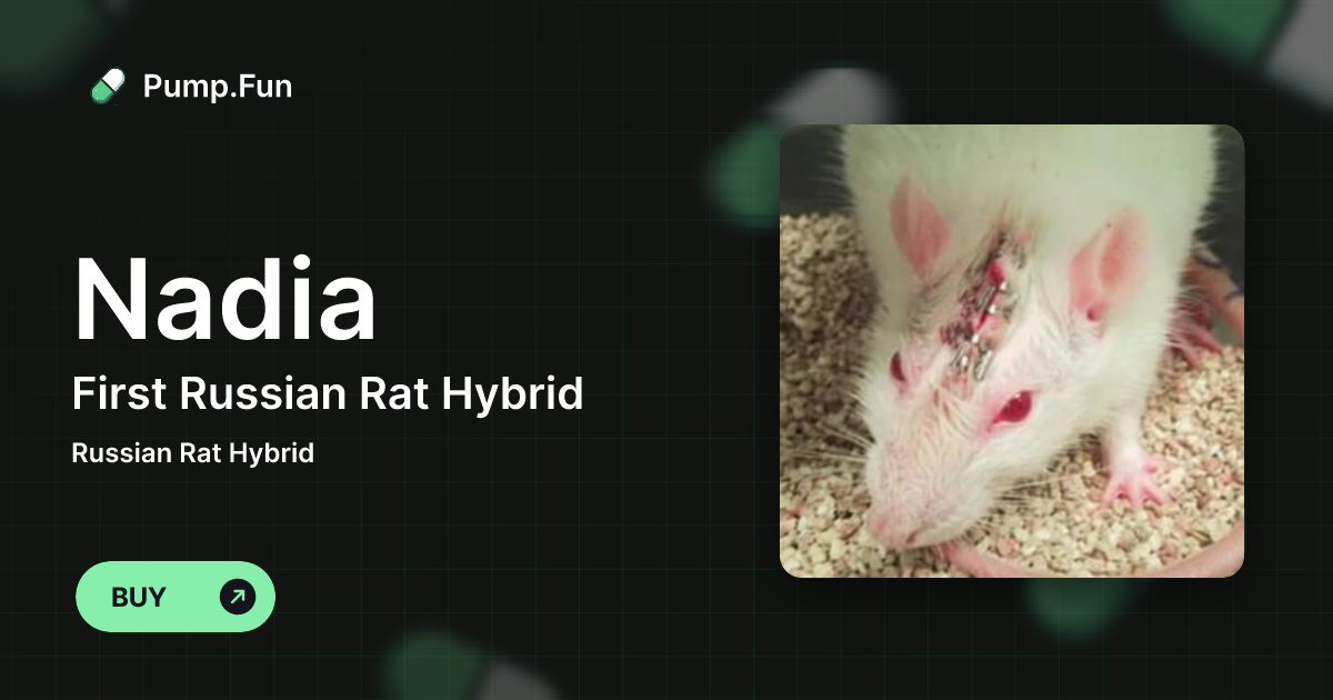 First Russian Rat Hybrid (Nadia) - Pump