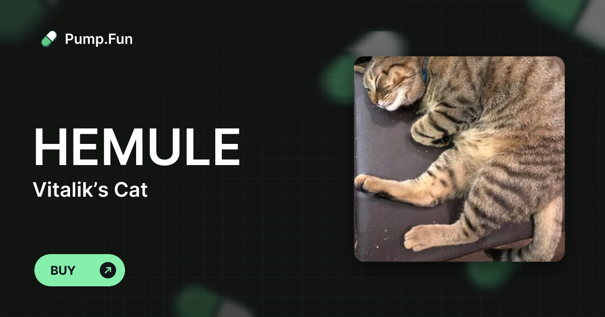 Vitalik’s Cat (HEMULE) - Pump