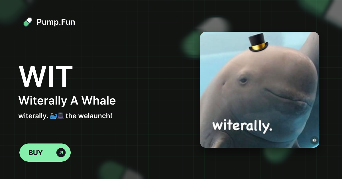 Witerally A Whale (WIT) - Pump