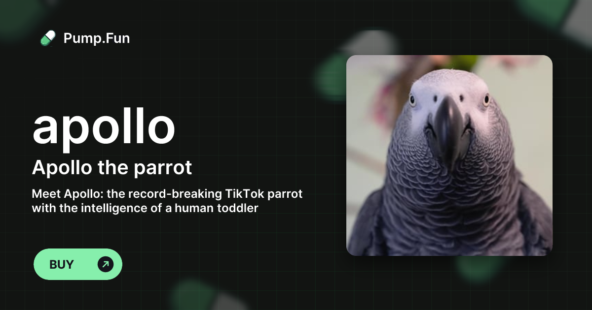 Apollo the parrot (apollo) - Pump