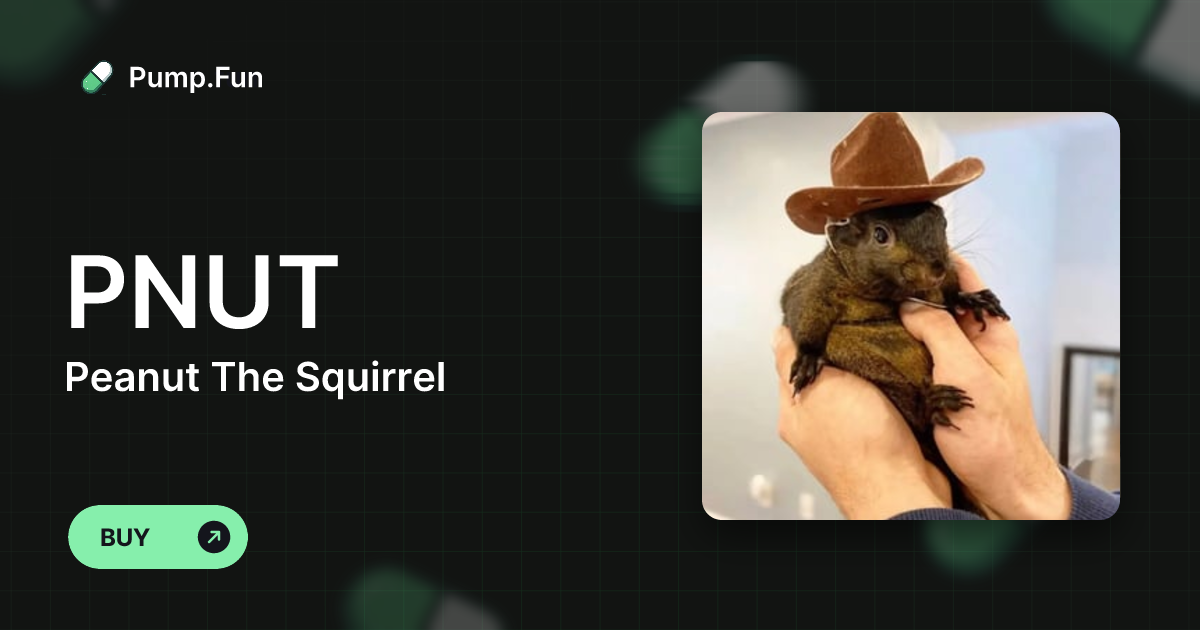 Peanut The Squirrel (PNUT) - Pump