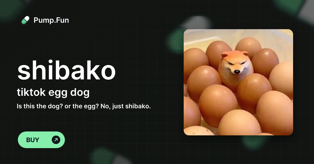 tiktok egg dog (shibako) - Pump