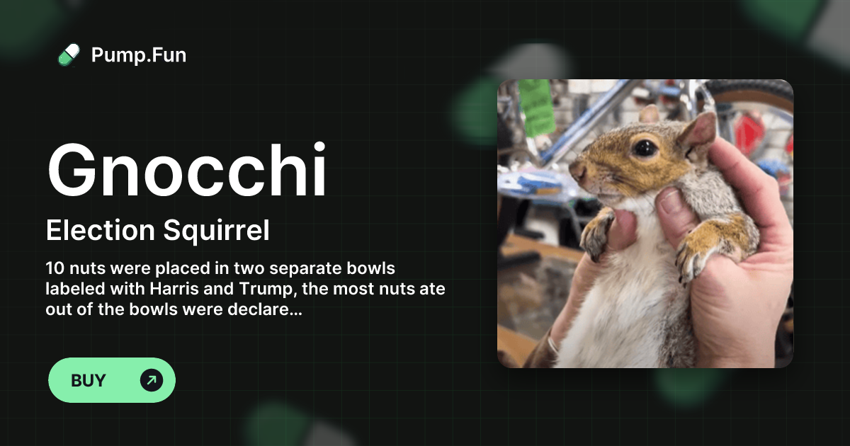 Election Squirrel (Gnocchi) - Pump