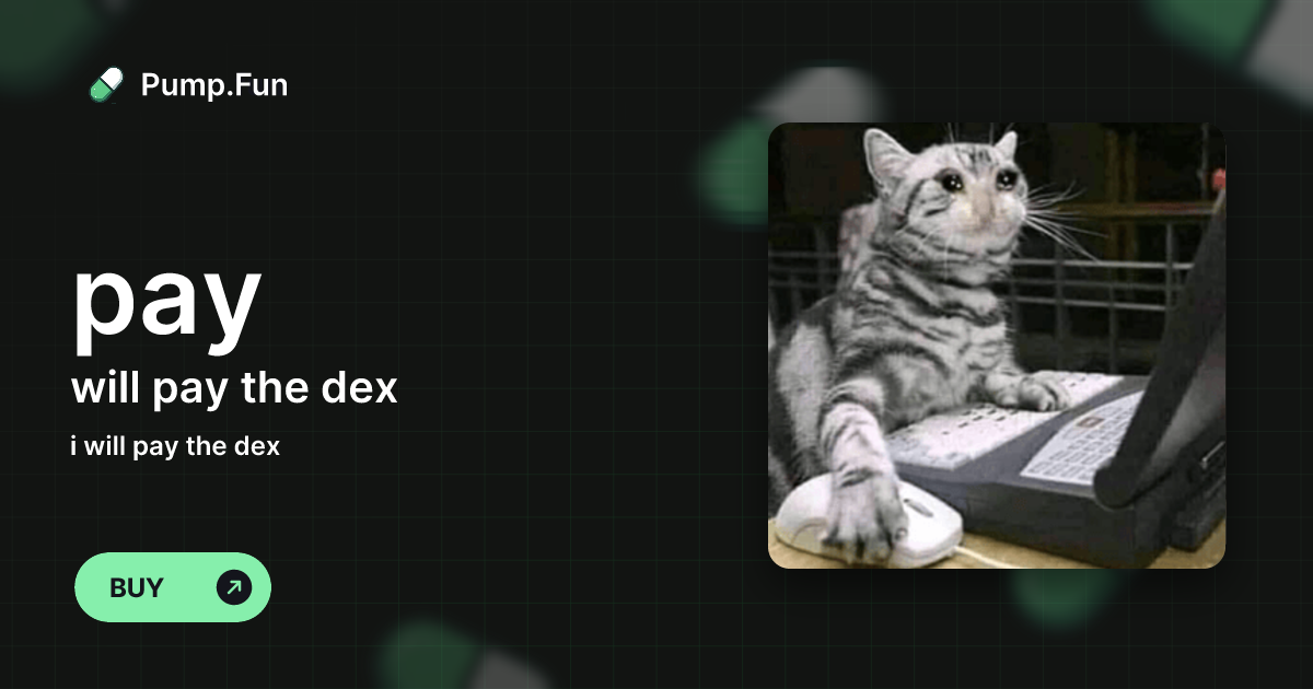 will pay the dex (pay) - Pump