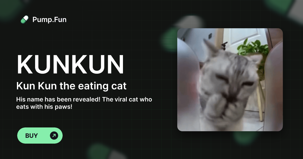 Kun Kun the eating cat (KUNKUN) - Pump