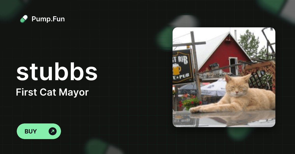 First Cat Mayor (stubbs) - Pump