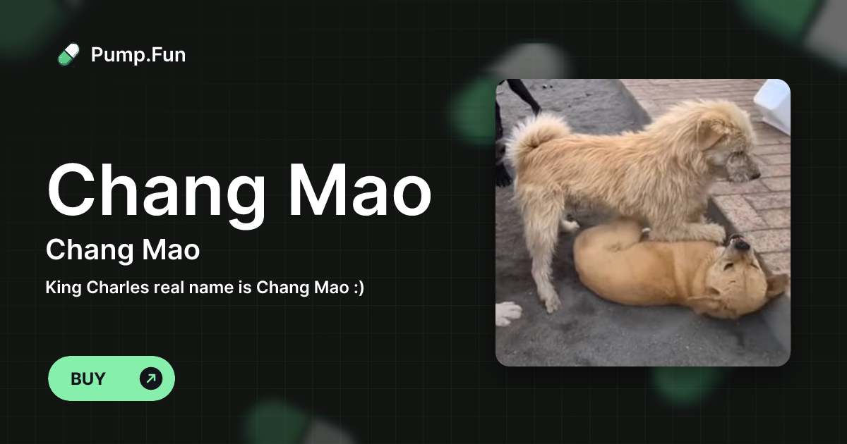 Chang Mao (Chang Mao) - Pump