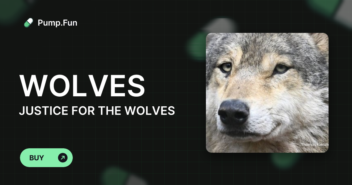 JUSTICE FOR THE WOLVES (WOLVES) - Pump