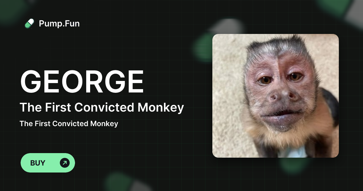The First Convicted Monkey (GEORGE) - Pump