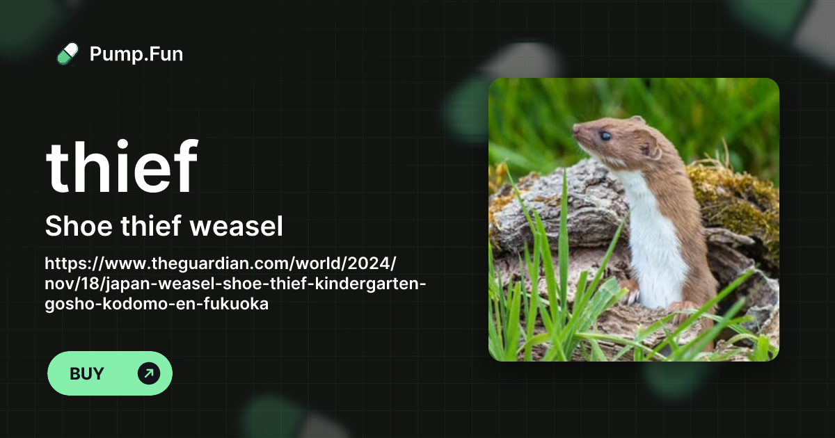 Shoe thief weasel (thief) - Pump