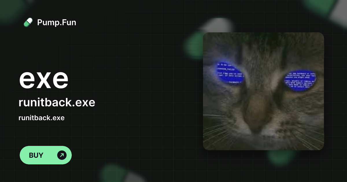 runitback.exe (exe) - Pump