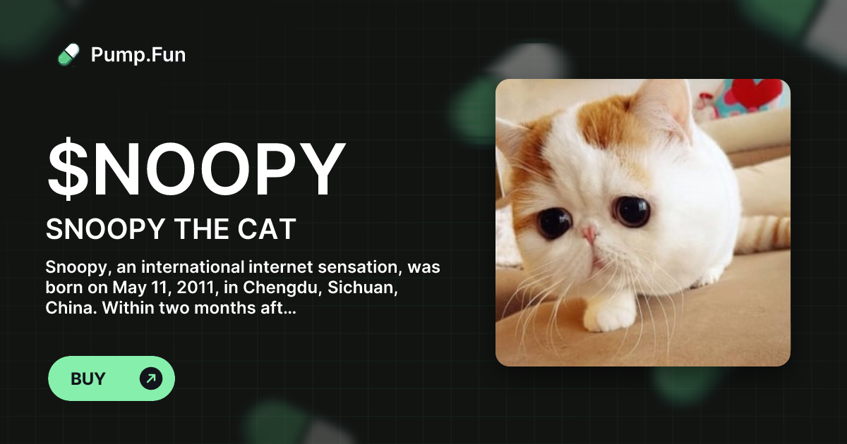 SNOOPY THE CAT ($NOOPY) - Pump