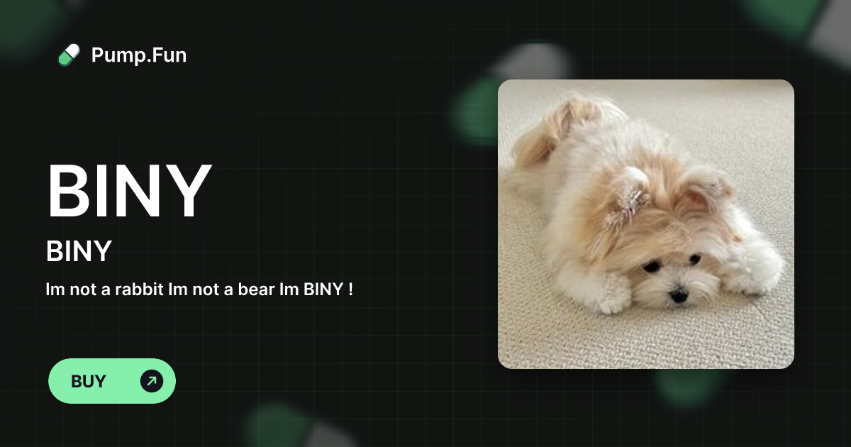 BINY (BINY) - Pump