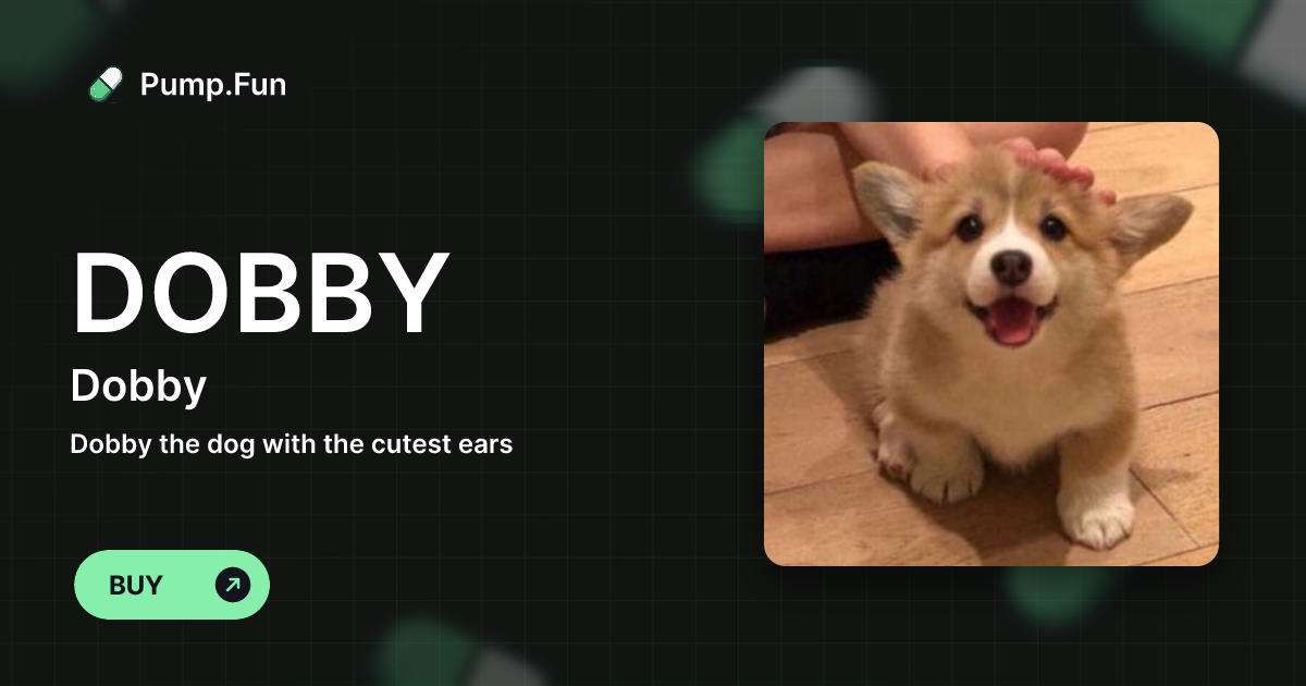 Dobby (DOBBY) - Pump