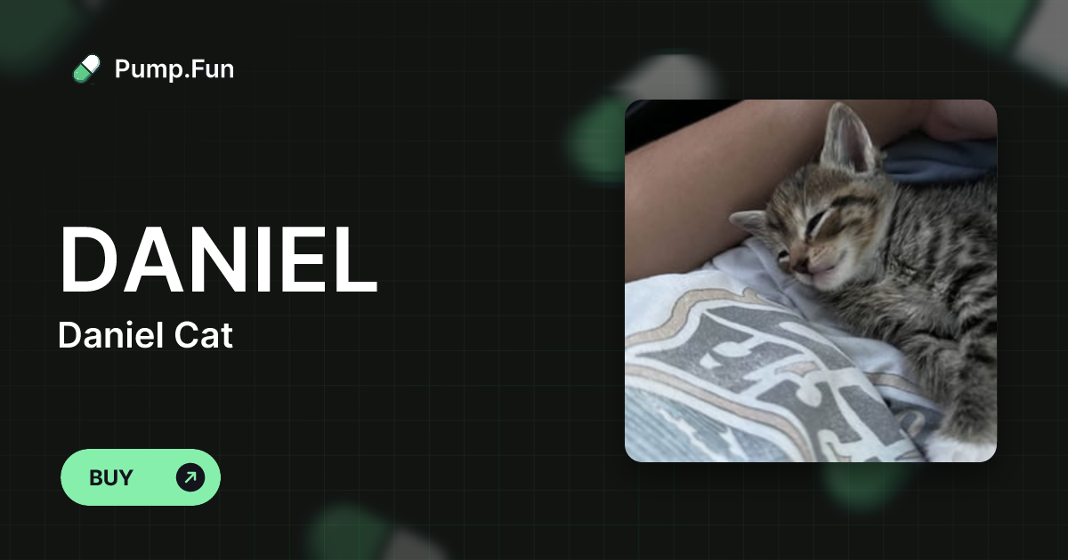 Daniel Cat (DANIEL) - Pump
