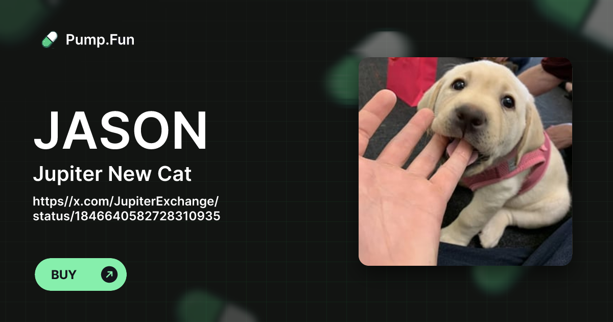 Jupiter New Cat (JASON) - Pump