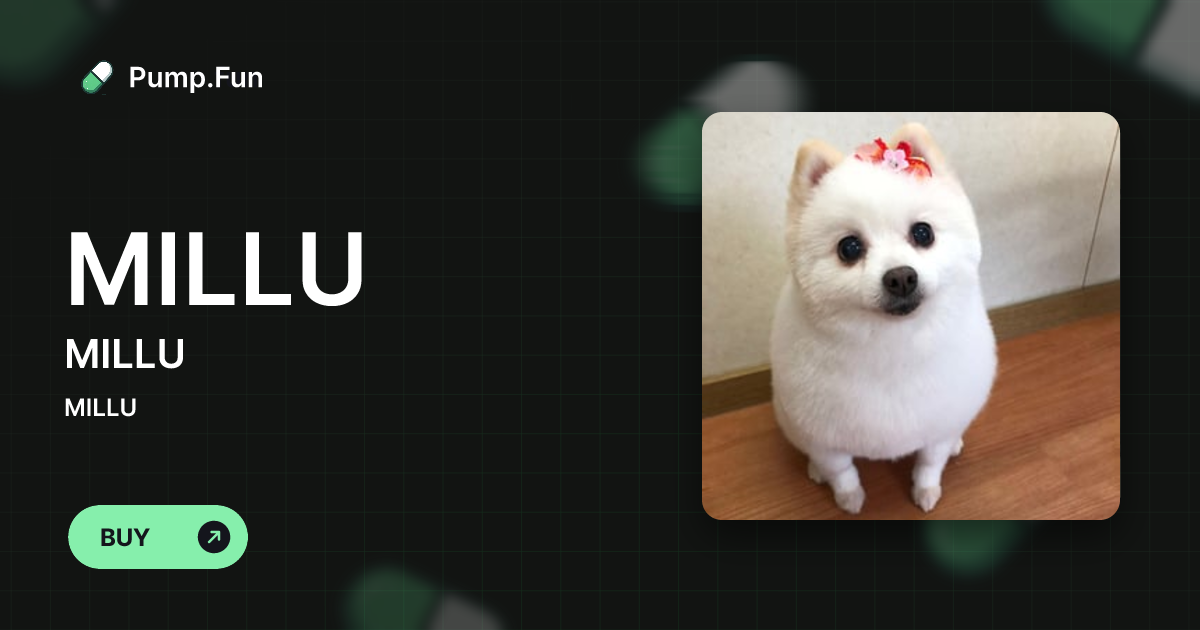 MILLU (MILLU) - Pump