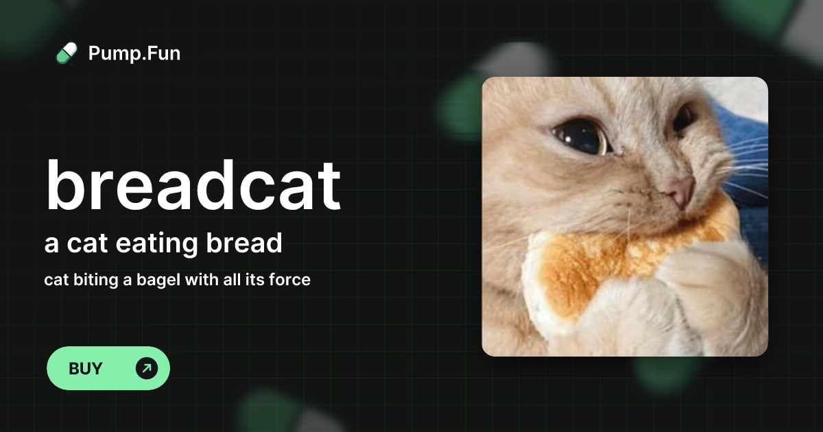 a cat eating bread (breadcat) - Pump