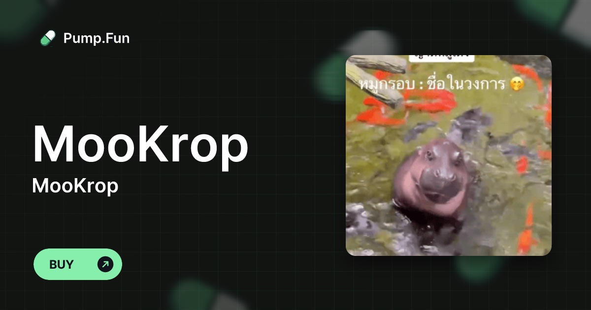 MooKrop (MooKrop) - Pump