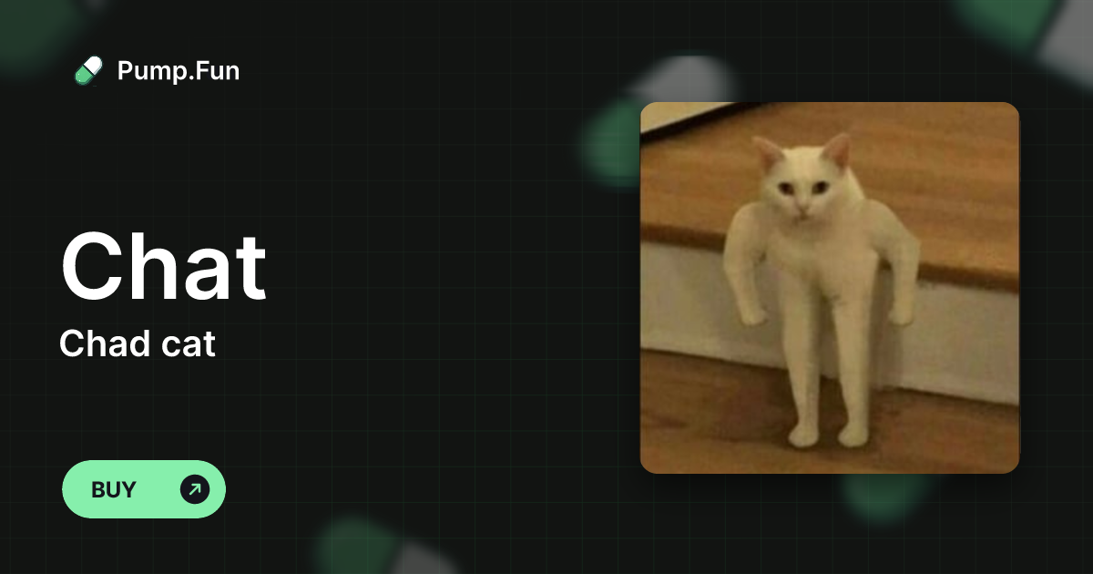 Chad cat (Chat) - Pump