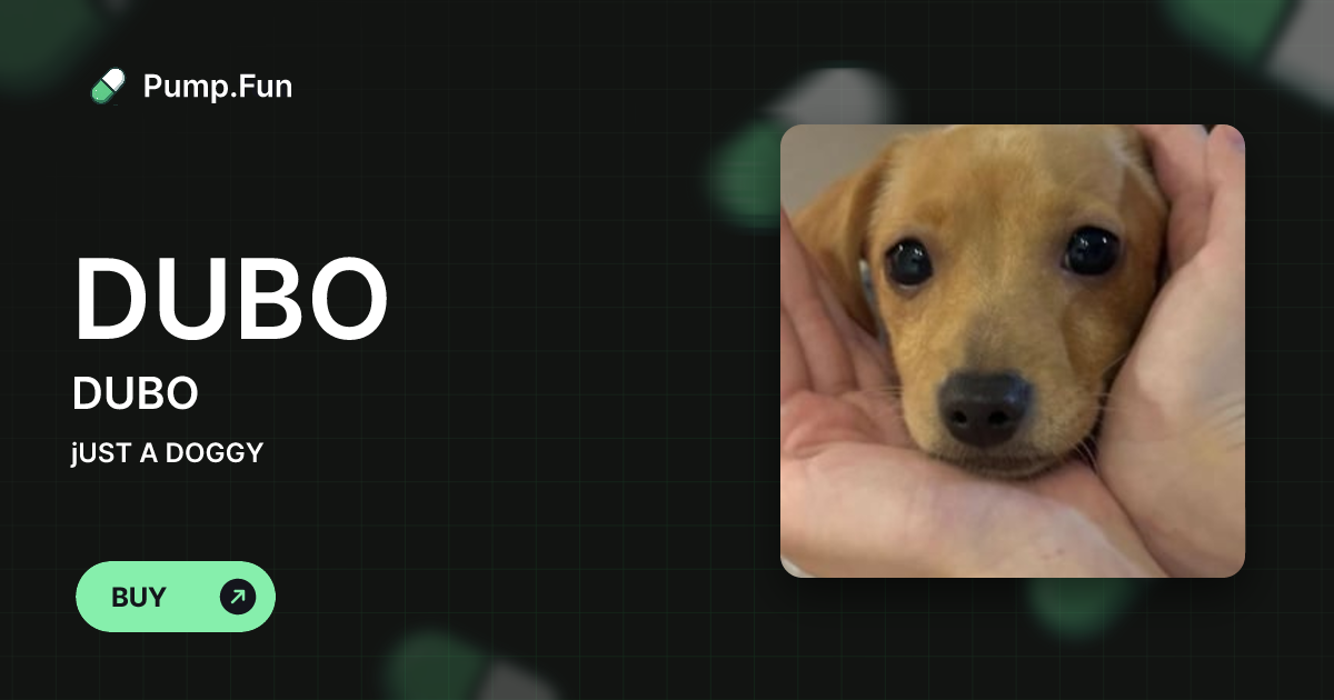 DUBO (DUBO) - Pump