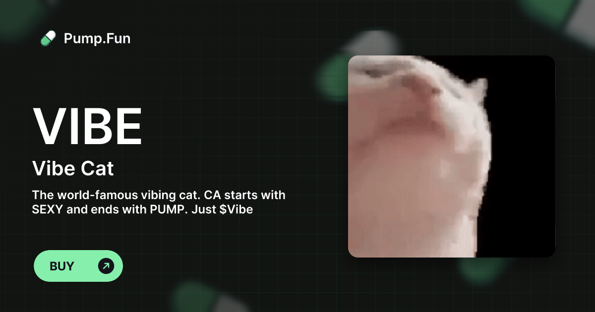 Vibe Cat (VIBE) - Pump