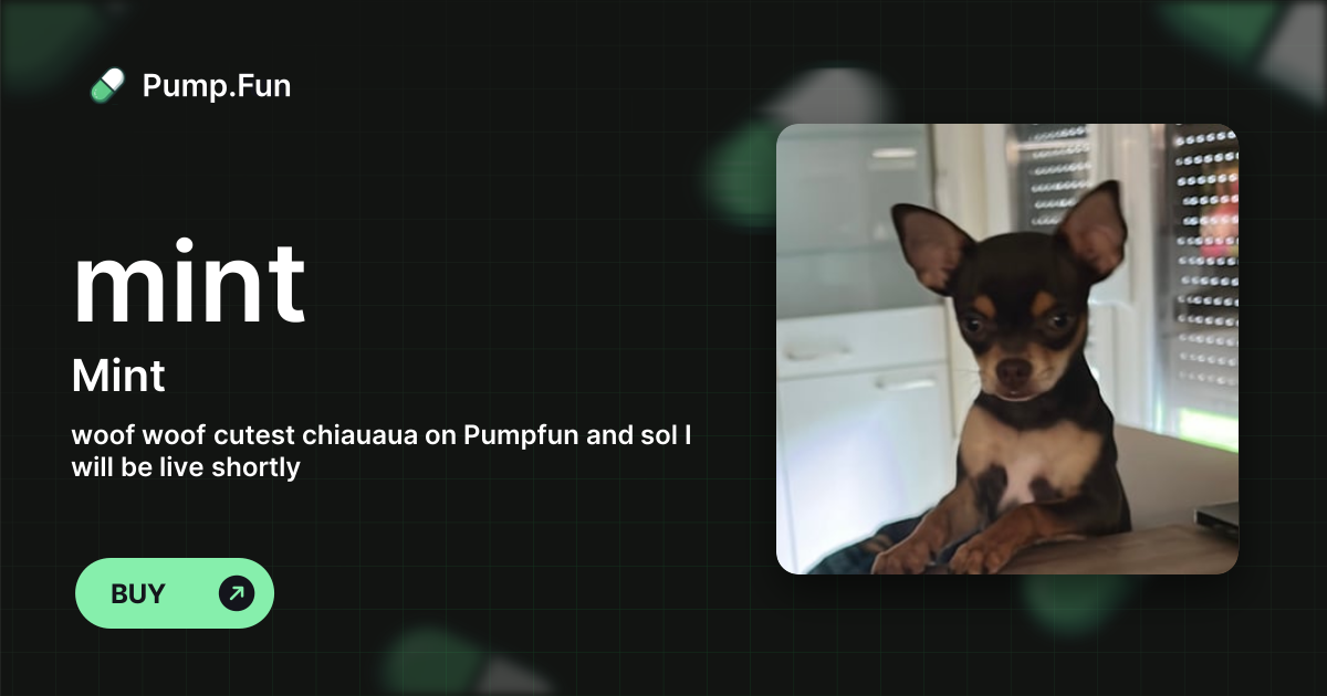 Mint (mint) - Pump