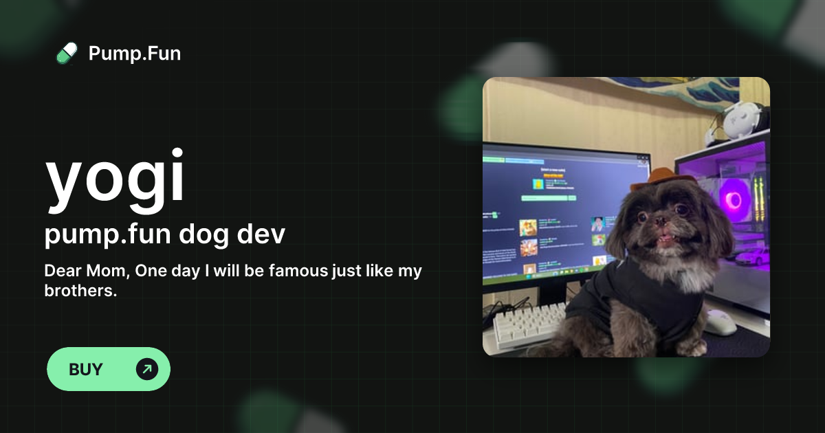 pump.fun dog dev (yogi) - Pump